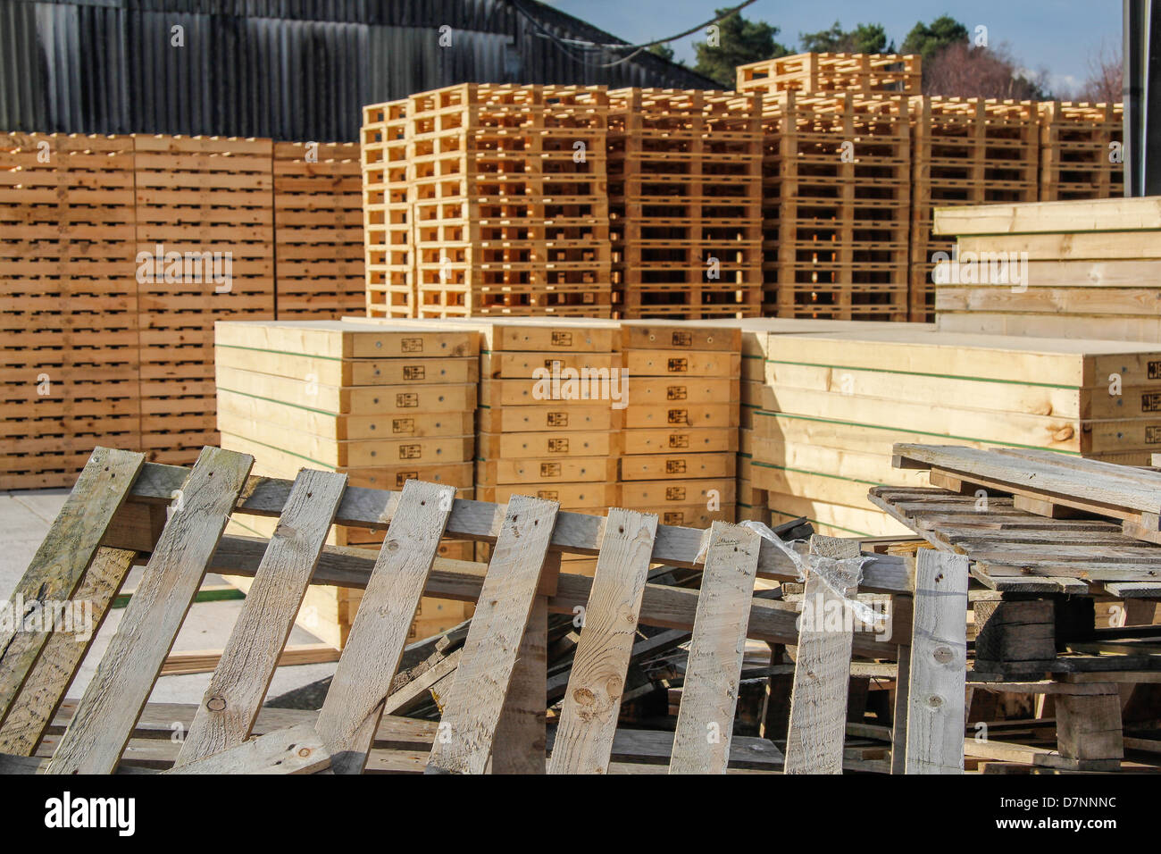Broken pallets in front of stacks of new bulkhead boards and pallets ...
