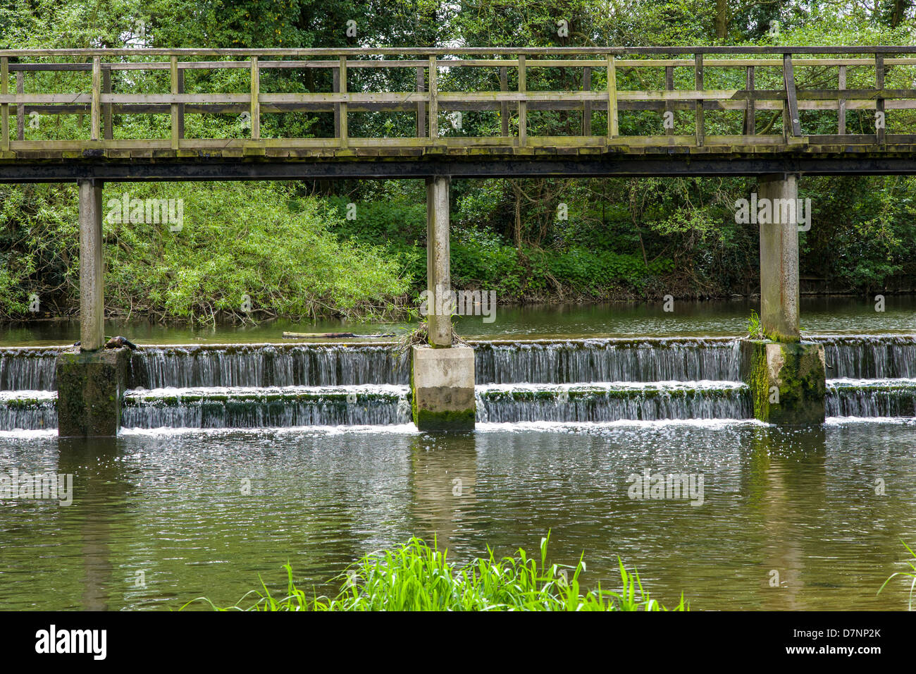River Chelmer at Beeleigh Stock Photo - Alamy