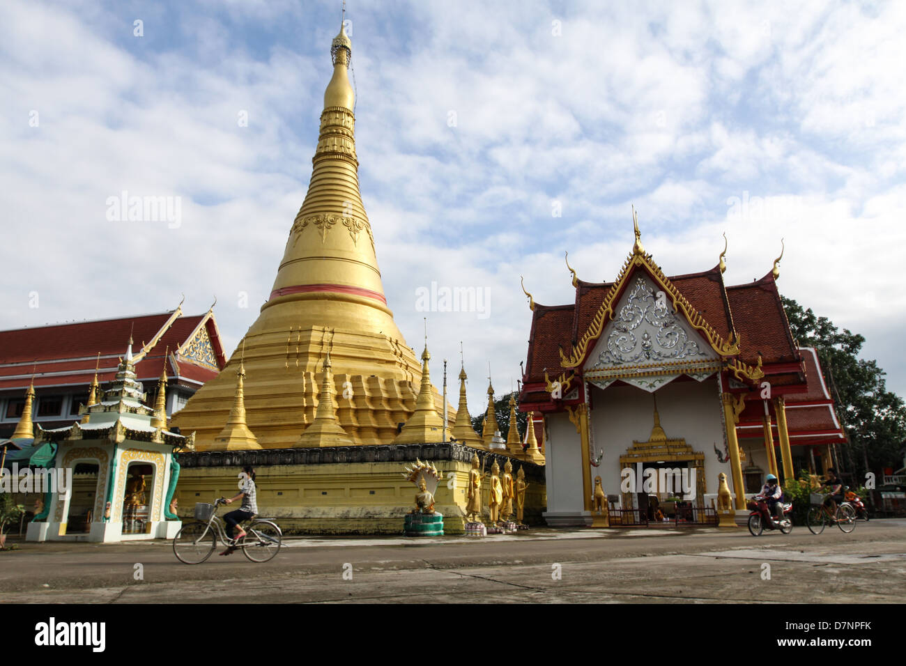 Xinjiang Province.China 2010 Stock Photo - Alamy