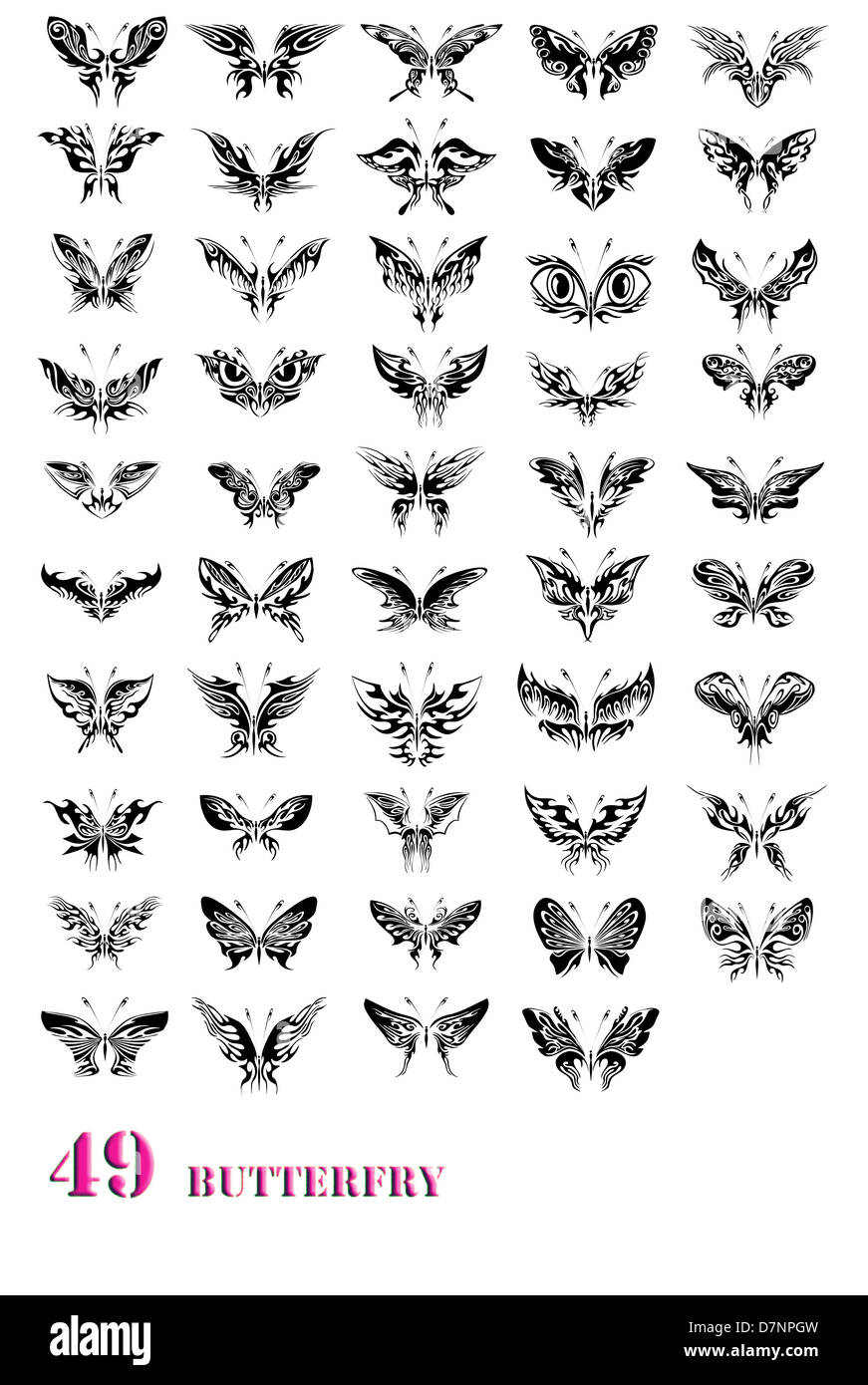 Butterfly genus Cut Out Stock Images & Pictures - Alamy