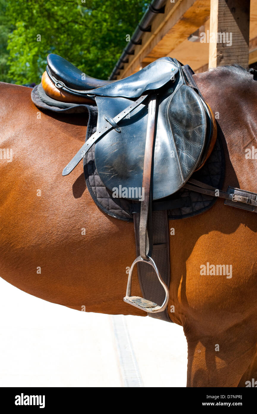 A horse with a saddle Stock Photo - Alamy