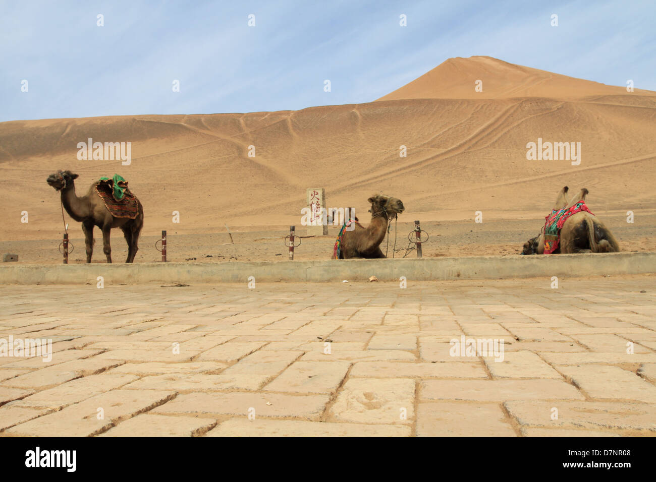 Xinjiang Province.China 2010 Stock Photo - Alamy