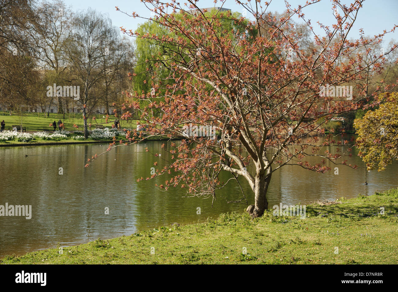 Water sprout fountain hi-res stock photography and images - Alamy