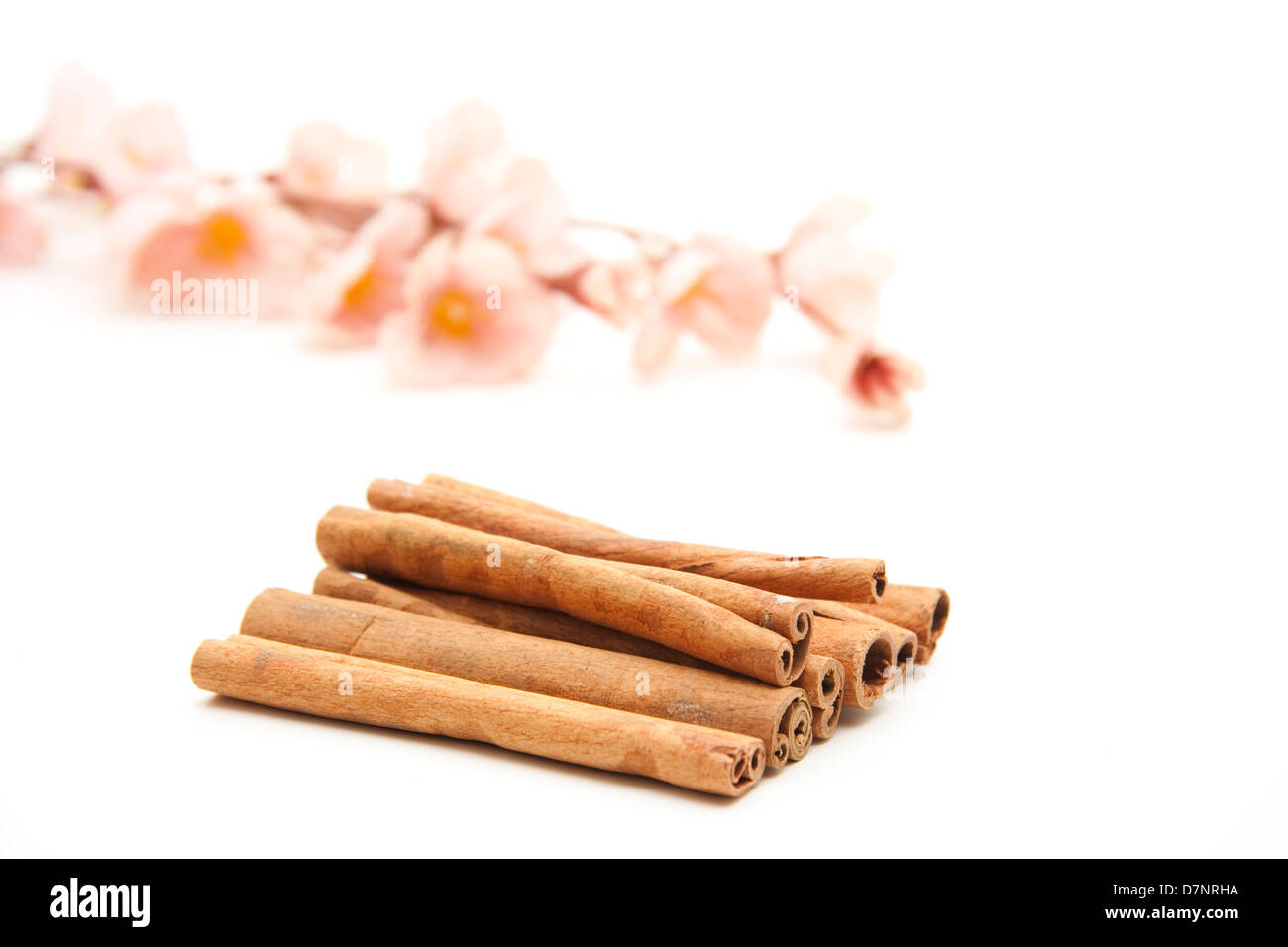 Fresh cinnamon sticks Stock Photo - Alamy