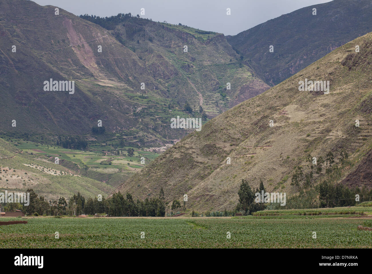 View of the Andean Sacred Valley at Pisac Stock Photo - Alamy