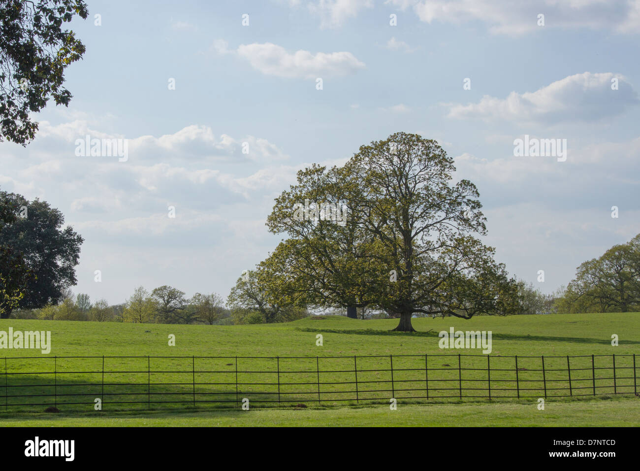 The Surrey Countryside Stock Photo - Alamy