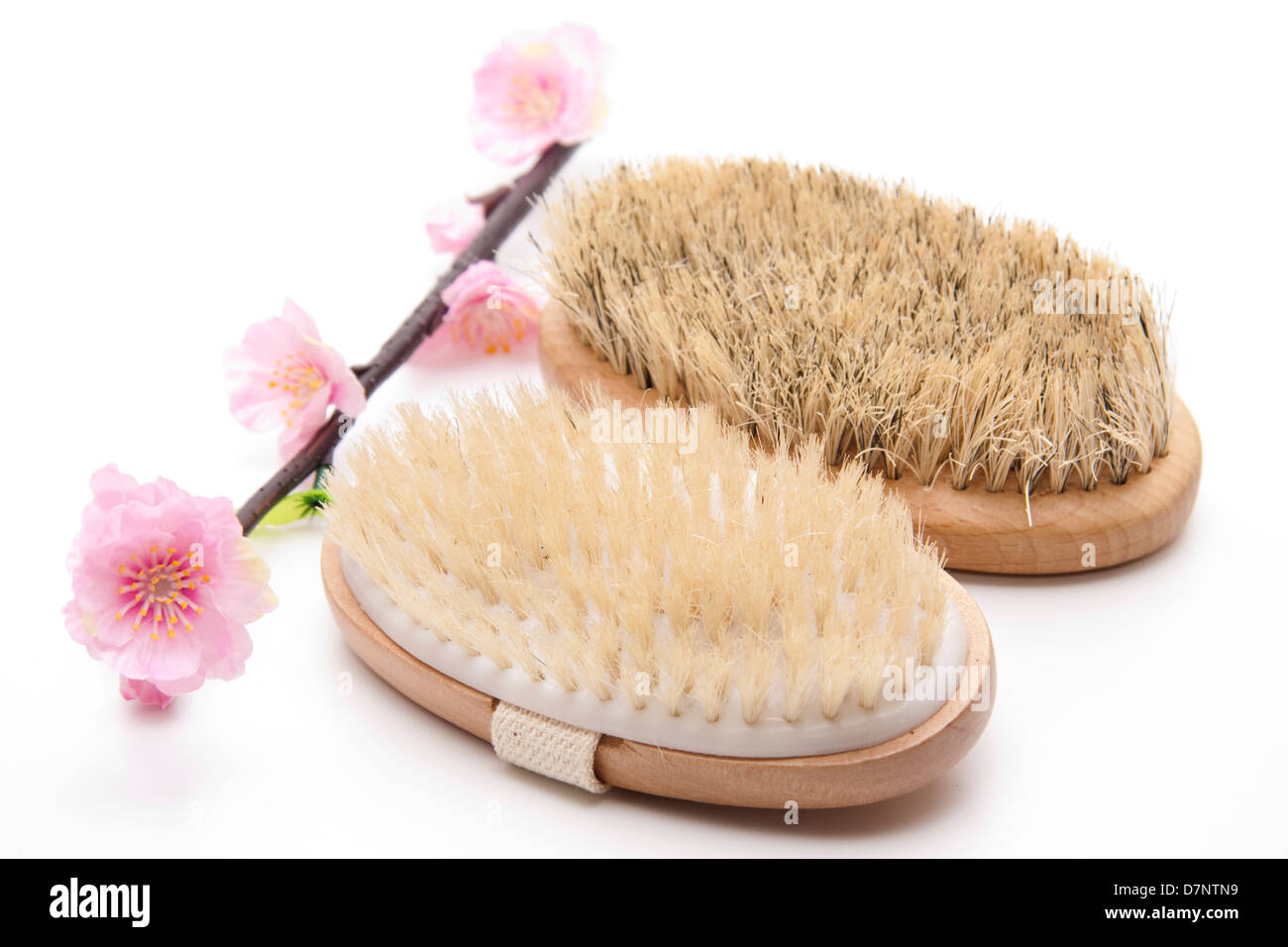 Back brushes with blossoms Stock Photo - Alamy