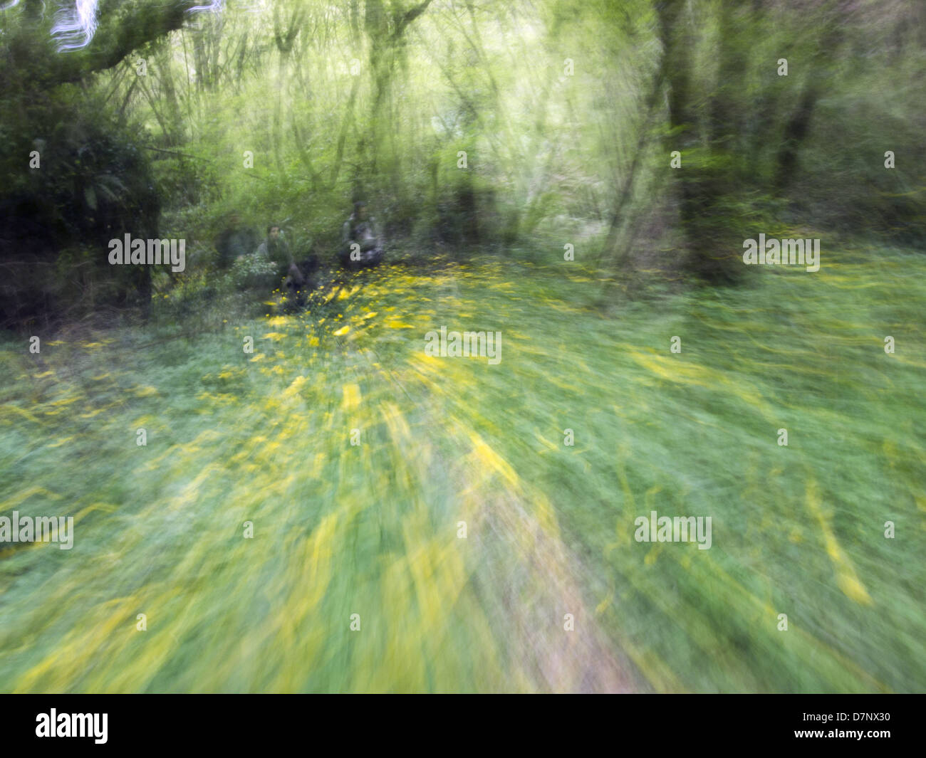Intentional camera movements hi-res stock photography and images - Alamy