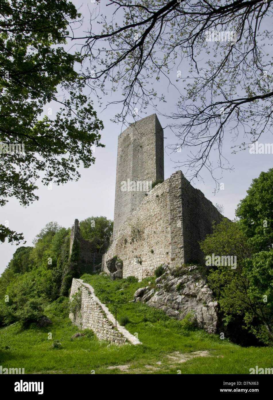 Selvena hi-res stock photography and images - Alamy