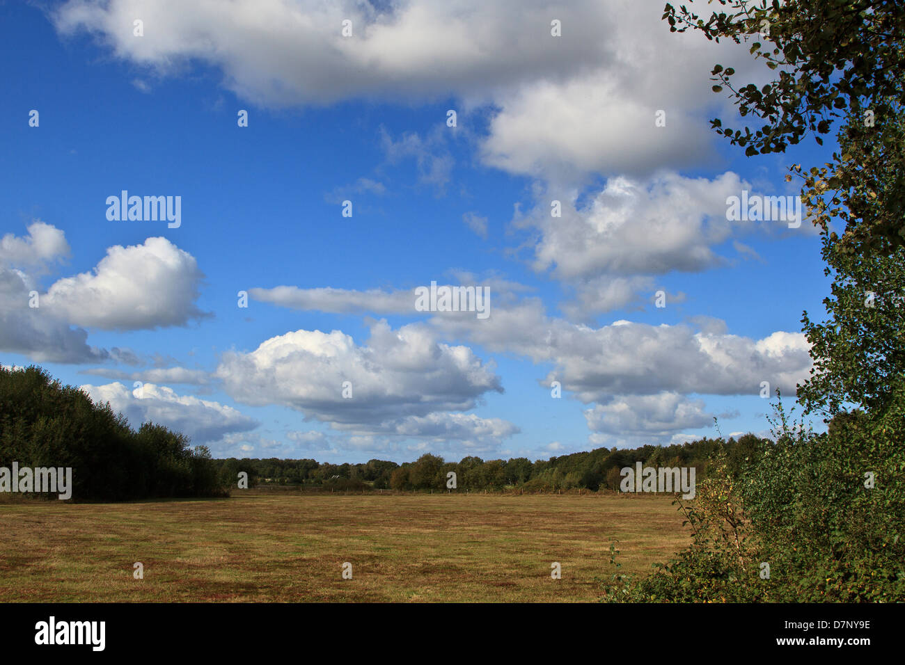 Scudding clouds hi-res stock photography and images - Alamy
