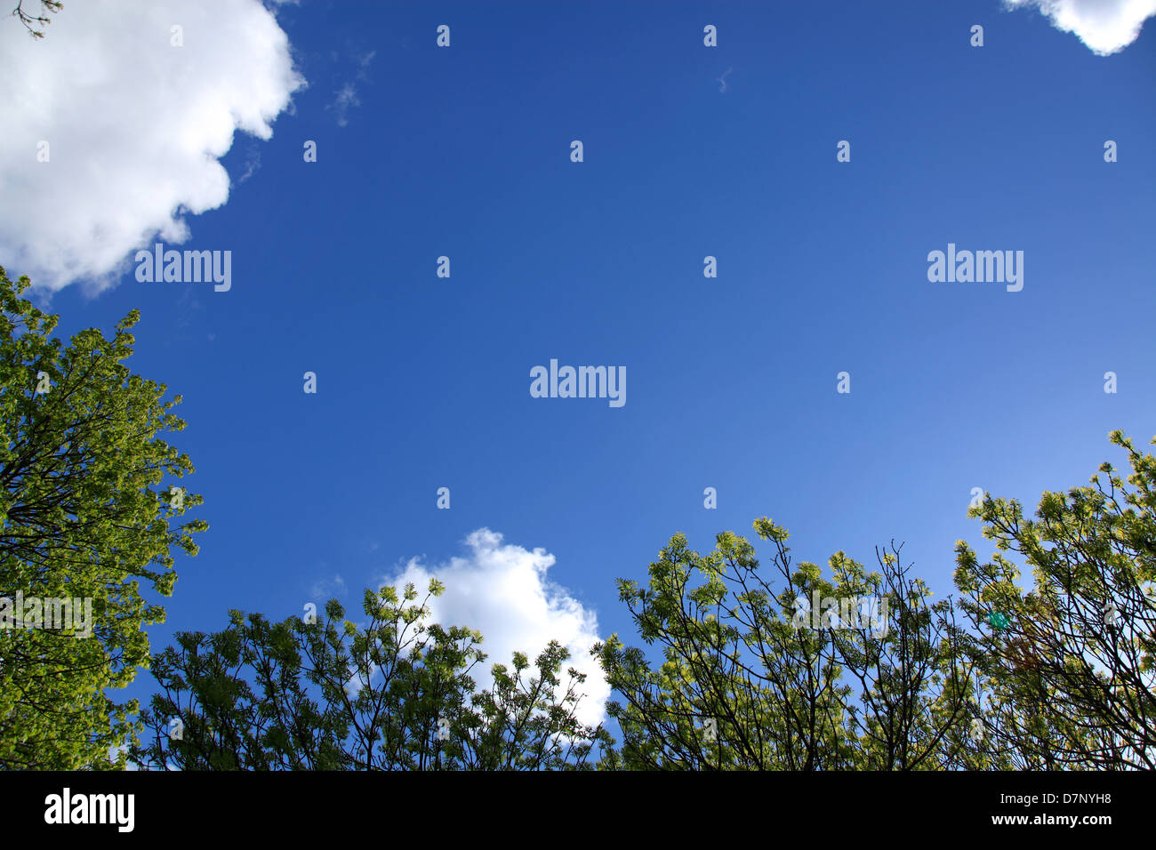 Background of blue sky Stock Photo - Alamy
