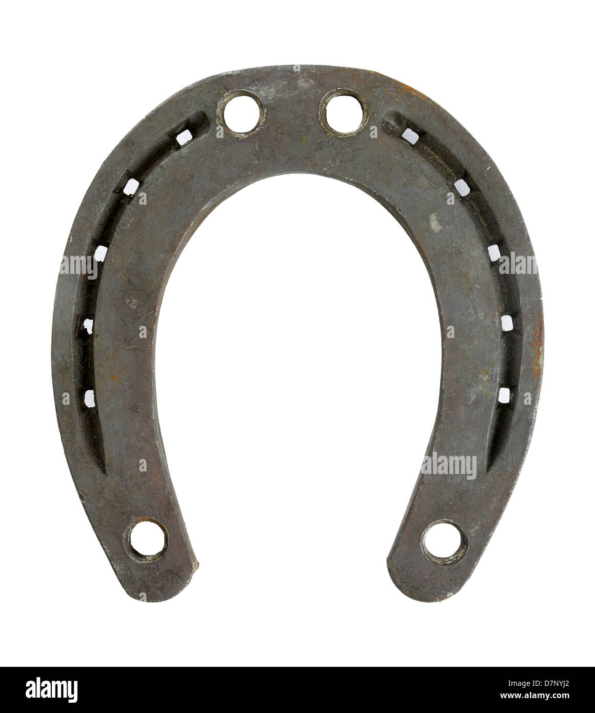 Above the curve horse hi-res stock photography and images - Alamy