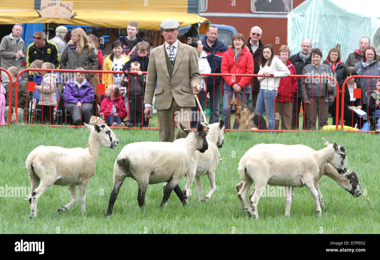 Roller shepherd hi-res stock photography and images - Alamy