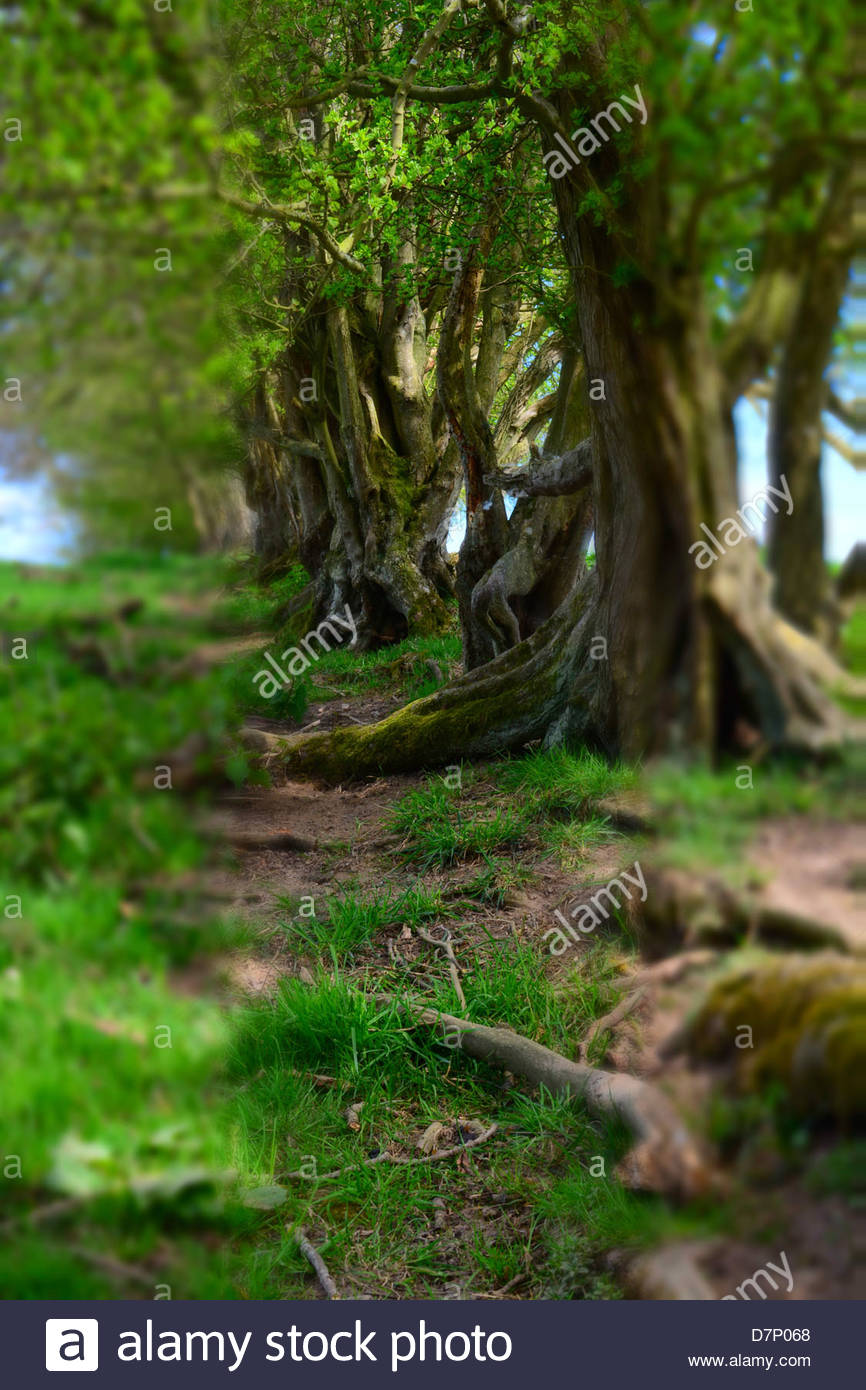 Natural Border Stock Photos & Natural Border Stock Images - Alamy