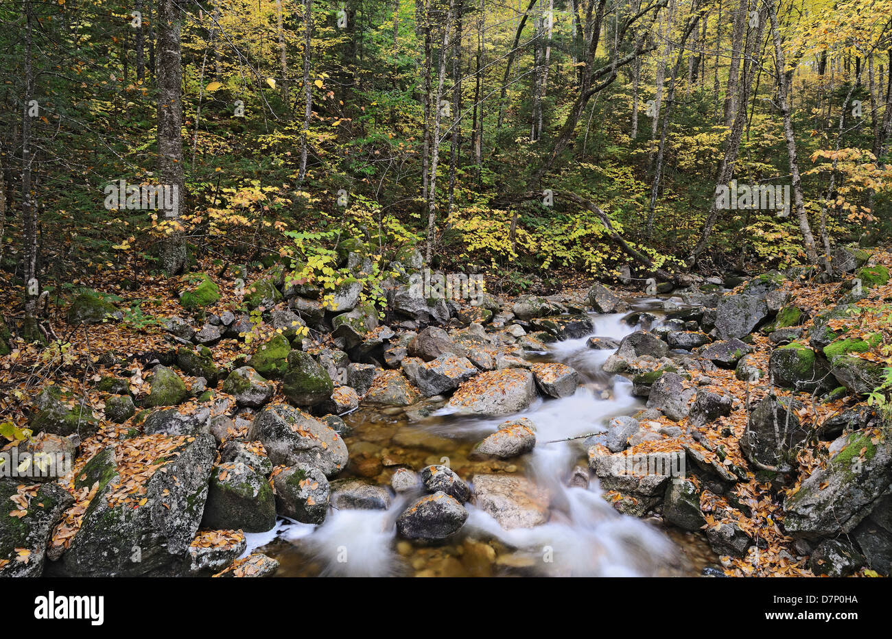 White mountain national forest scenic hi-res stock photography and ...