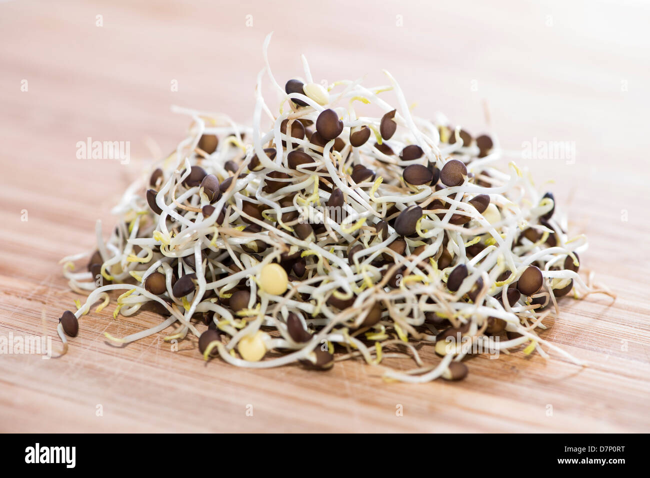 Bean sprout root hi-res stock photography and images - Alamy