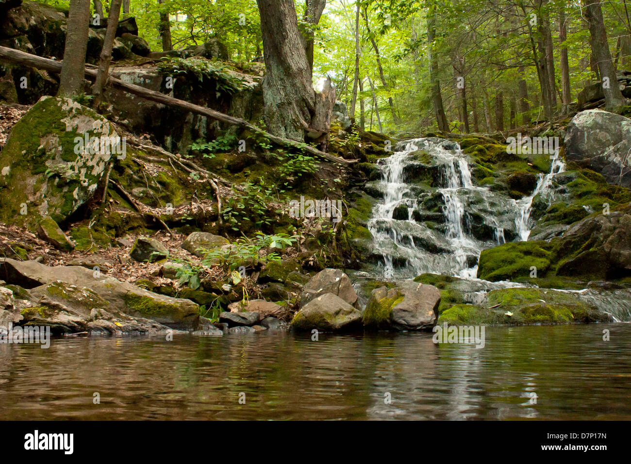 A mossy waterfall and pool in the mountains of Connecticut Stock Photo ...