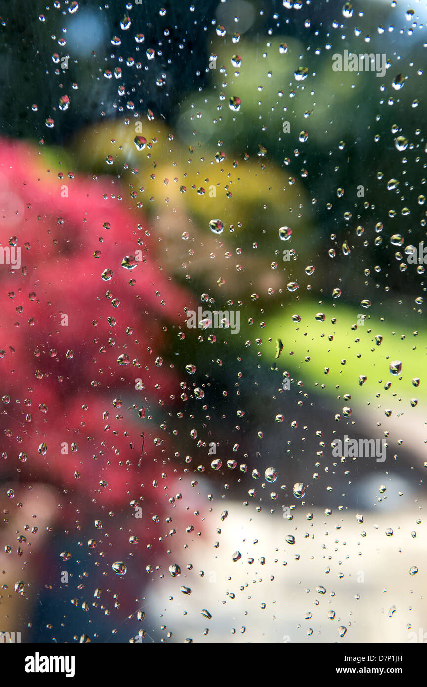 Garden backyard through window fence hi-res stock photography and ...