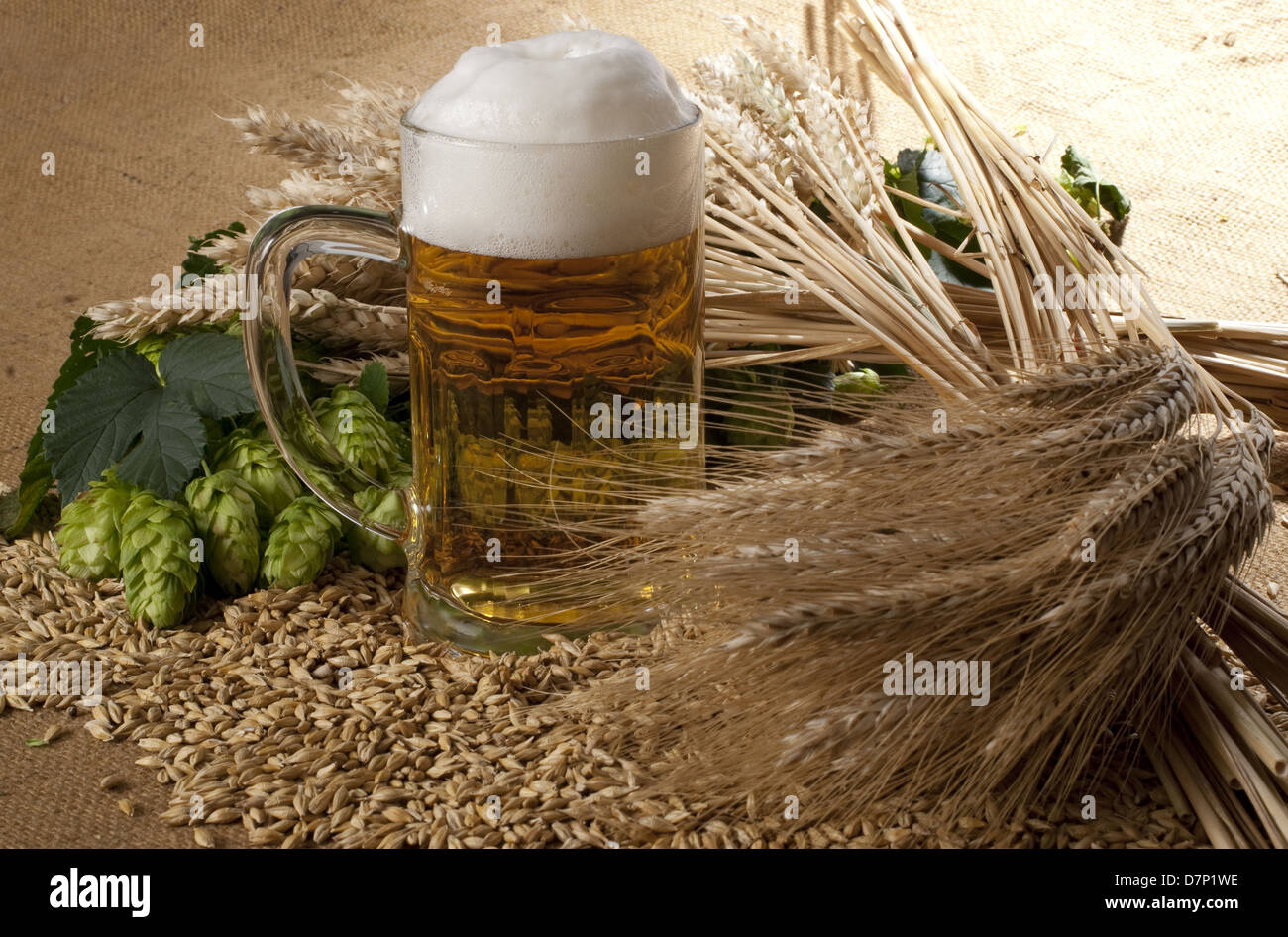 Beer barley grain hi-res stock photography and images - Alamy