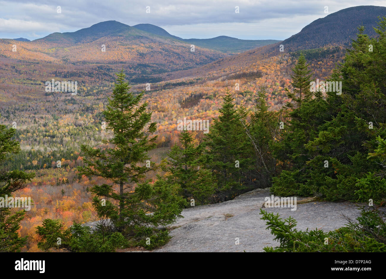 White Mountain National Forest, New Hampshire Stock Photo - Alamy