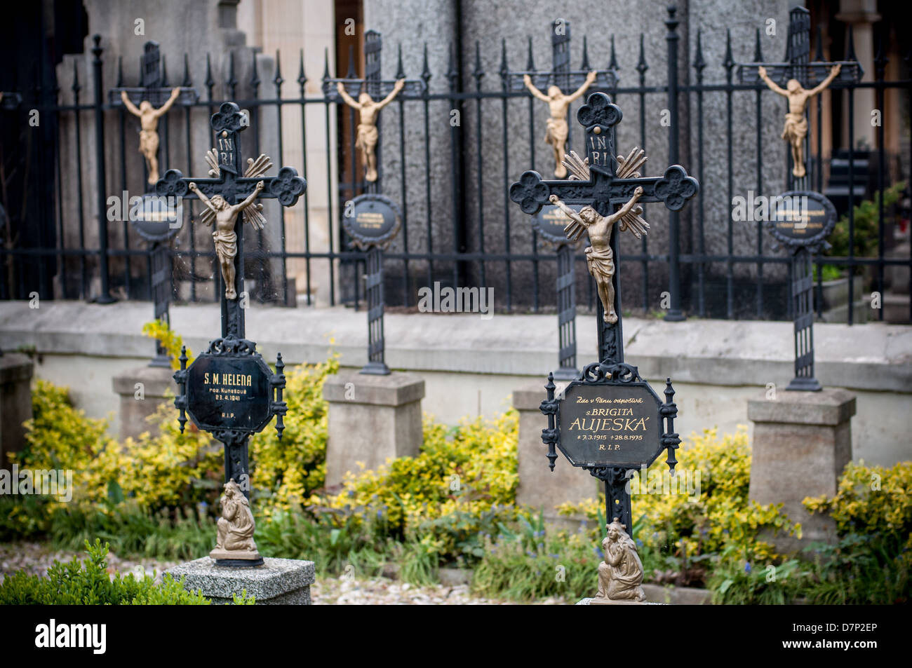 Lots of crosses crucifixes on the graveyard cemetery Stock Photo - Alamy