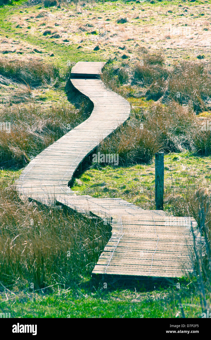 Timber walkway over marshy ground Stock Photo - Alamy