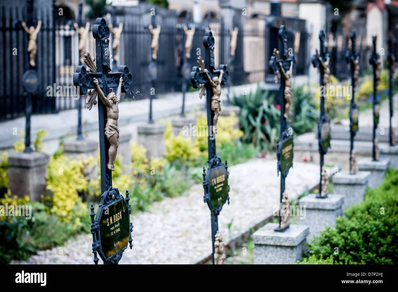 Lots of crosses crucifixes on the graveyard cemetery Stock Photo - Alamy