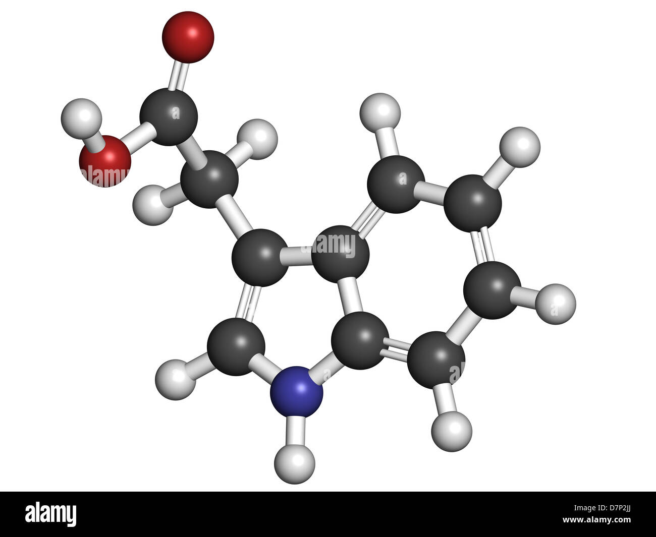 Auxin (indole-3-acetic acid, IAA) plant growth hormone, molecular model ...