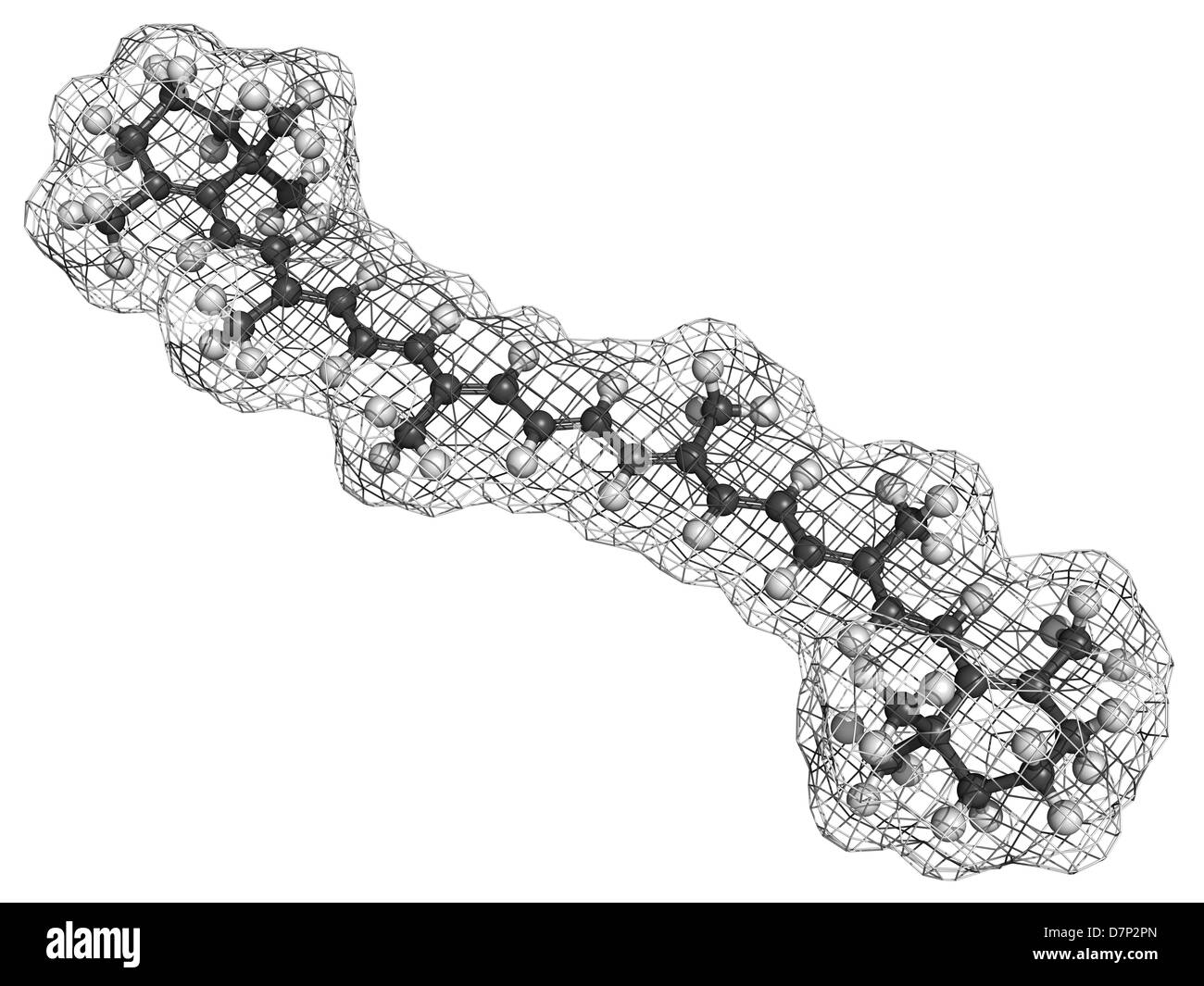Beta-carotene carot pigment, molecular model. Beta-carotene is a ...