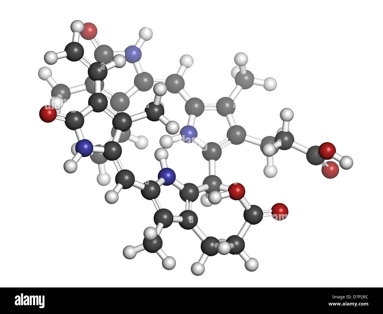 Bilirubin heme breakdown product, molecular model. Atoms are ...