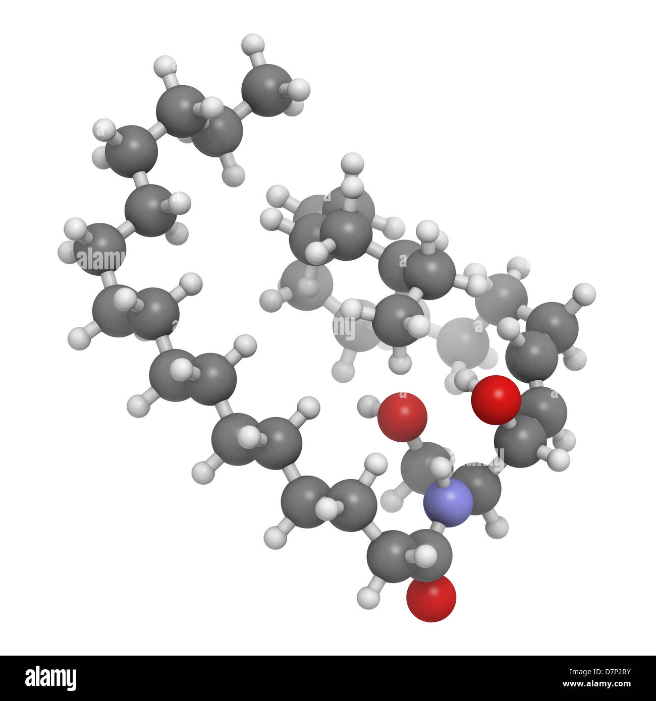 Ceramide cell membrane lipid, molecular model. Atoms are represented as ...