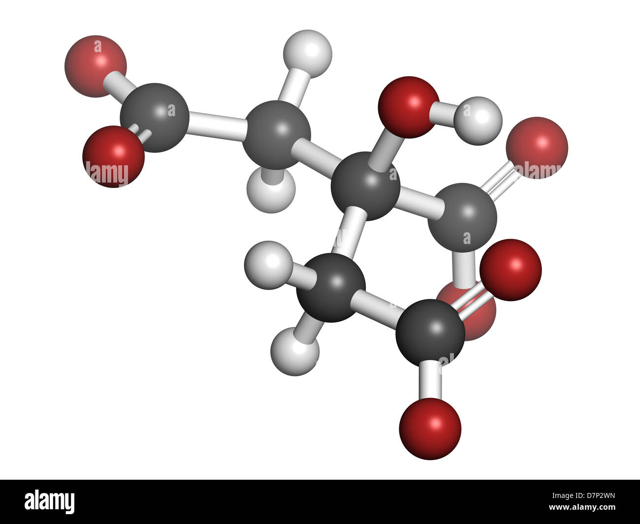 Citric Acid Cycle High Resolution Stock Photography and Images - Alamy