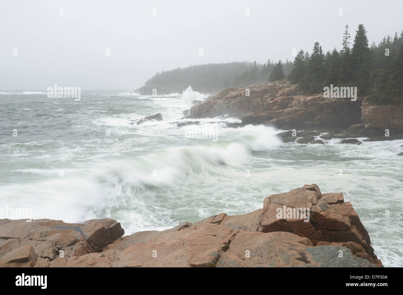 Hurricane Sandy Maine