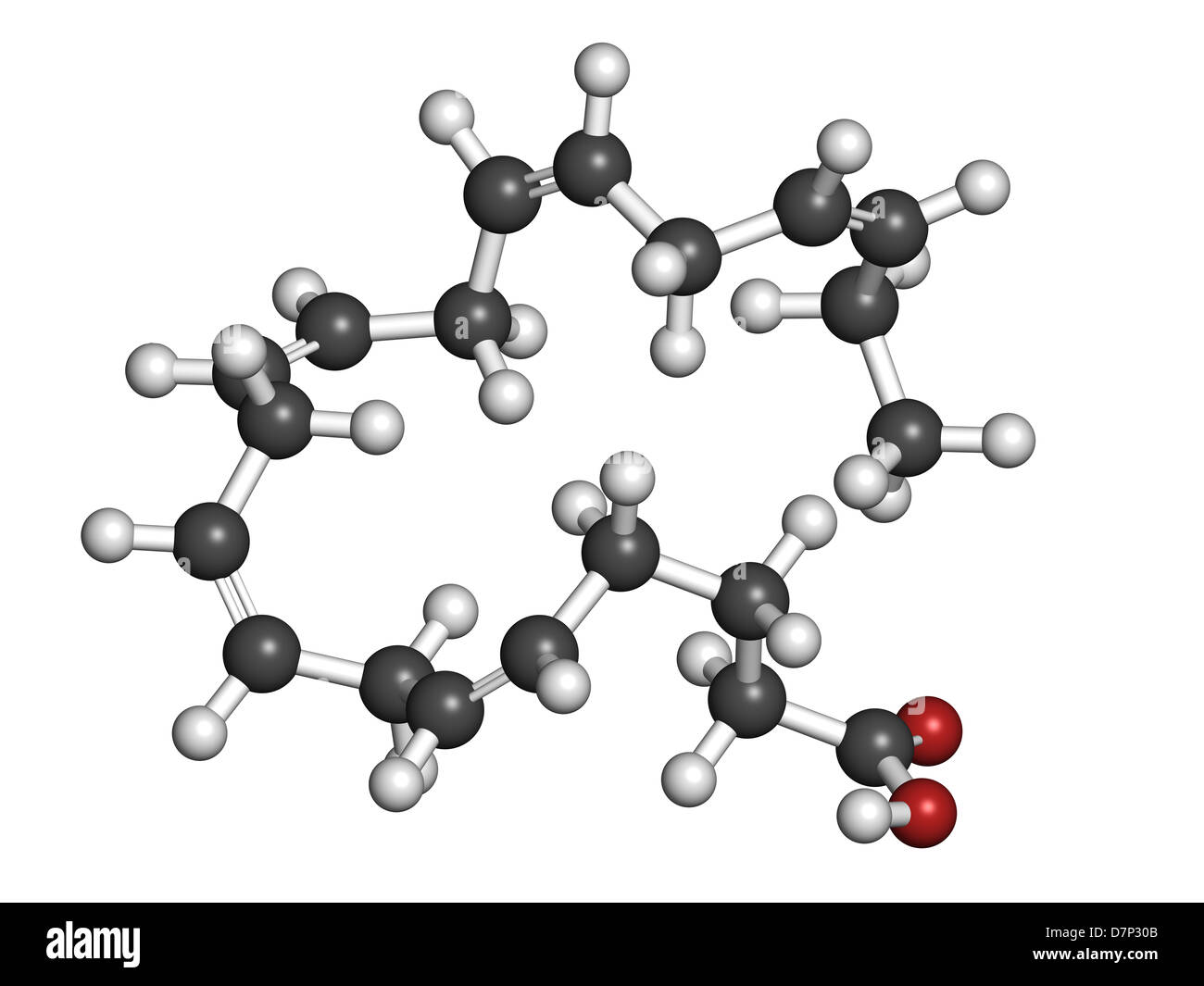 Structure of epa Cut Out Stock Images & Pictures - Alamy