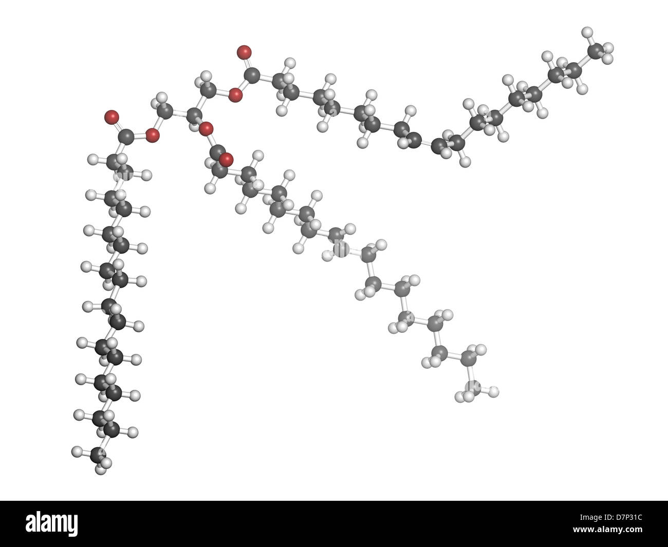 Trans-fat containing triglyceride (elaidyl stearyl oleyl triglyceride ...