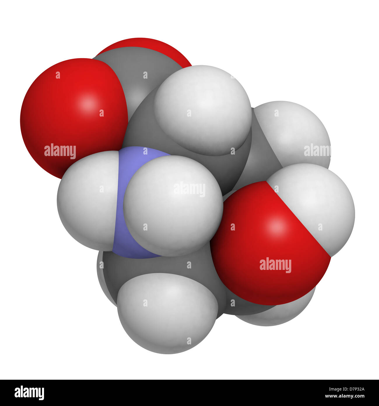 Hydroxyproline (Hyp) collagen building block, molecular model. Atoms ...