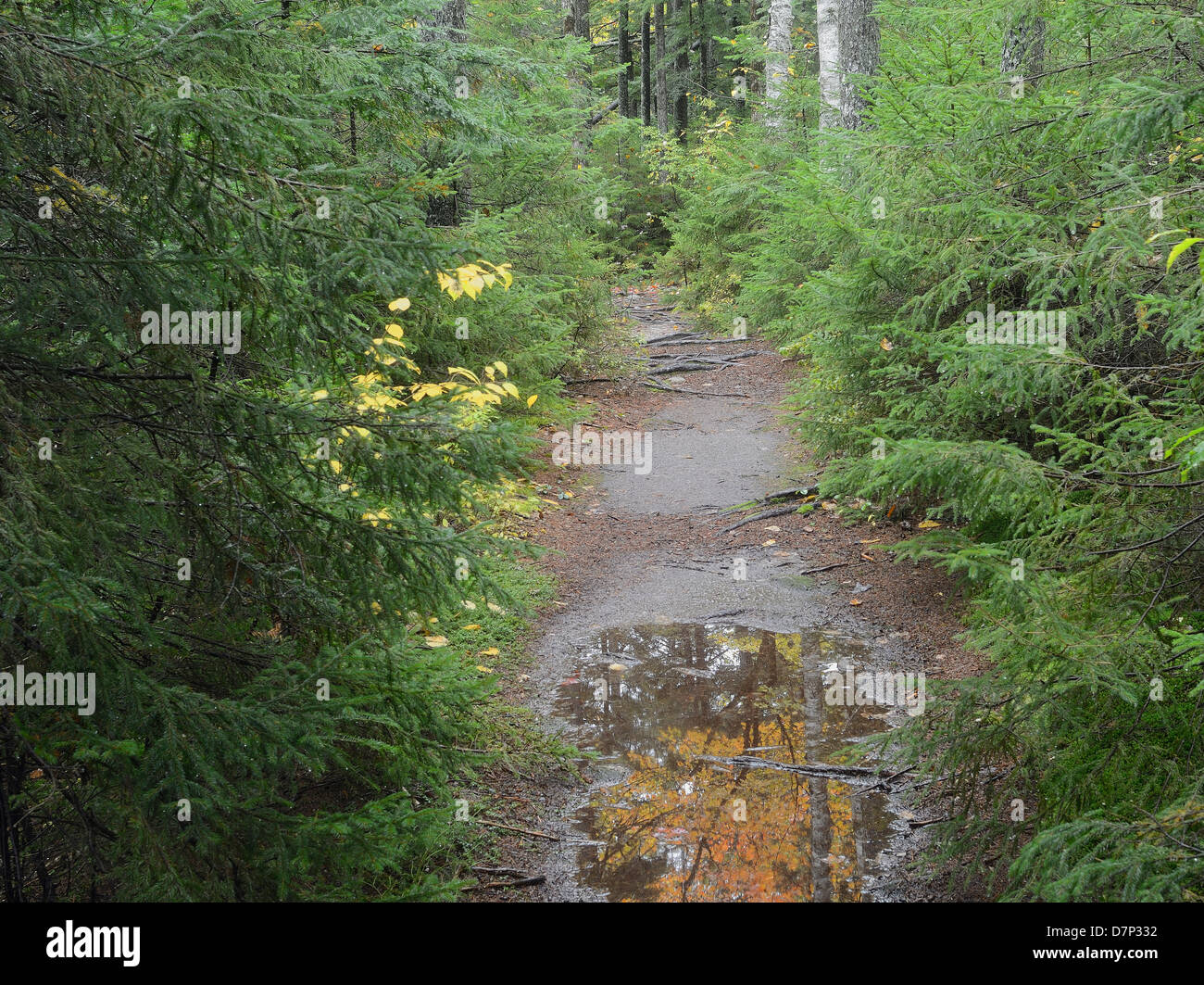 Path through mountain hi-res stock photography and images - Alamy