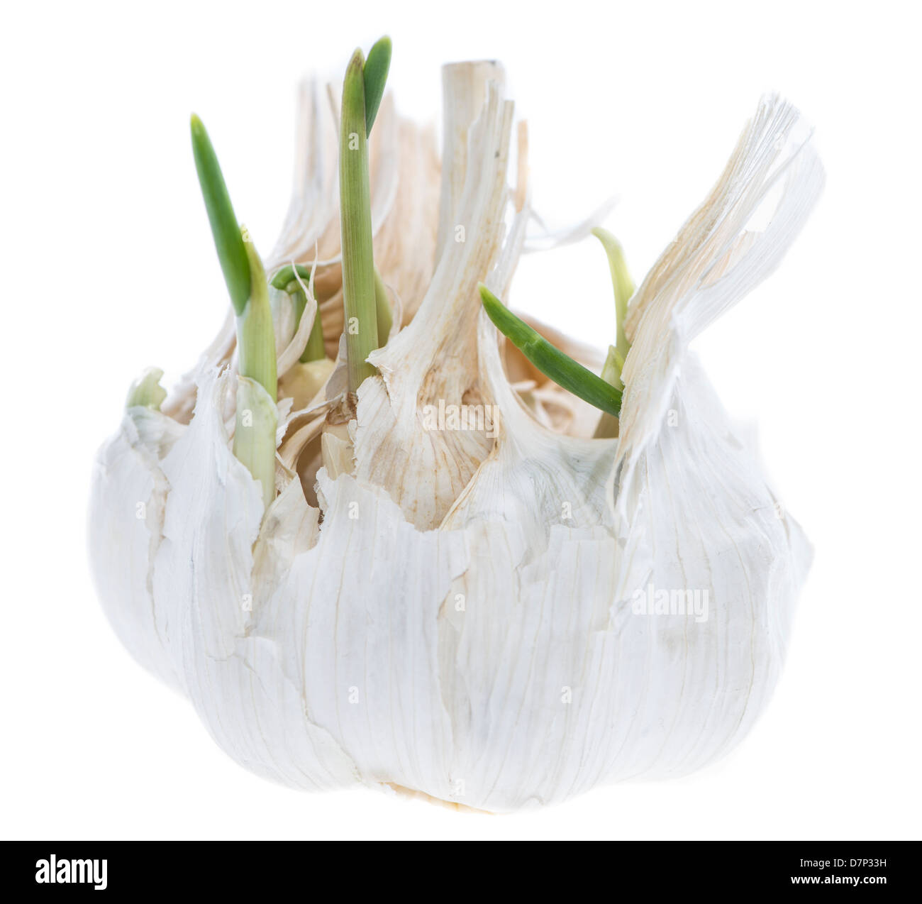 Garlic bulb isolated on white background Stock Photo - Alamy
