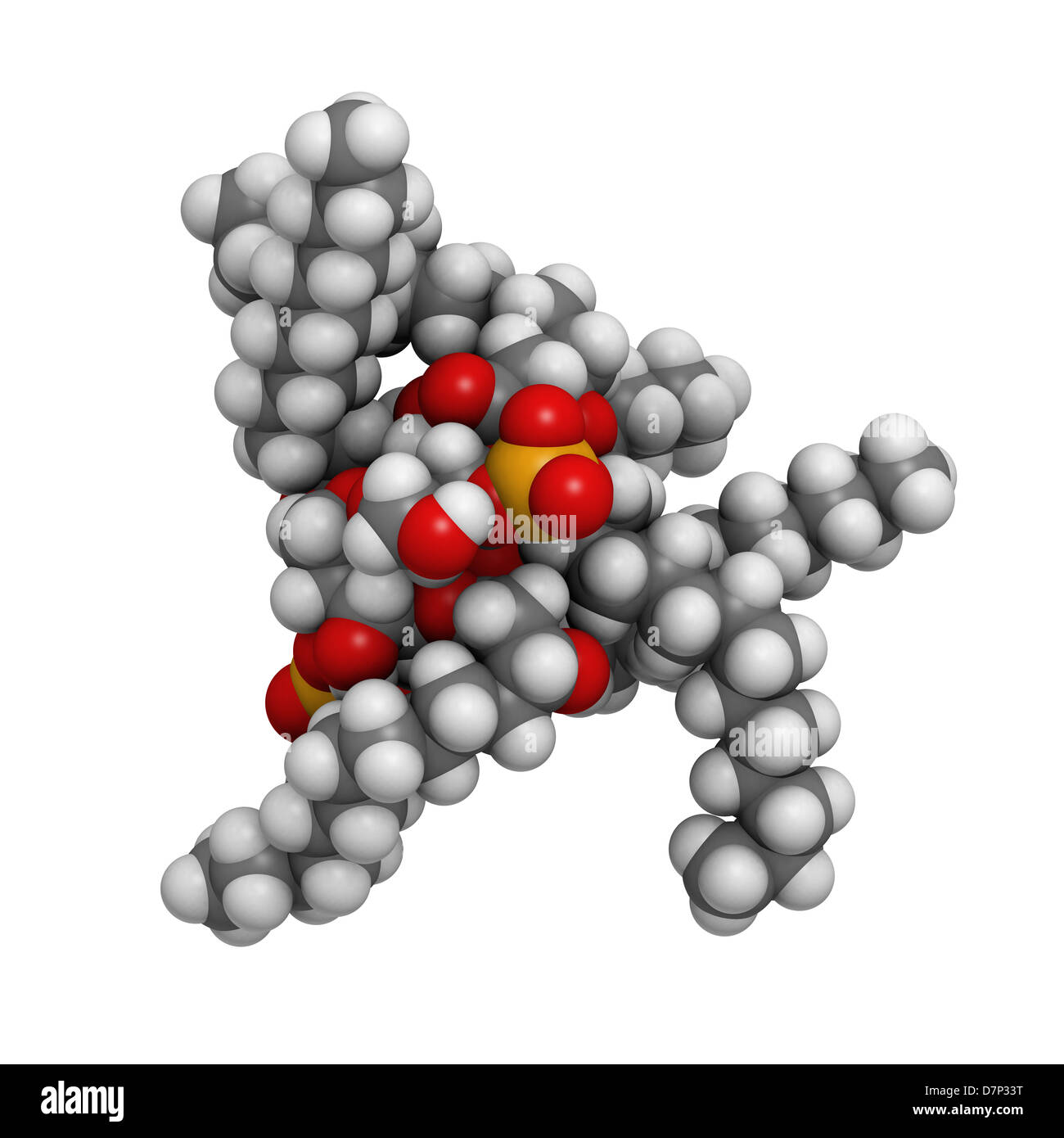 Lipid A bacterial endotoxin, molecular model. Atoms are represented as ...