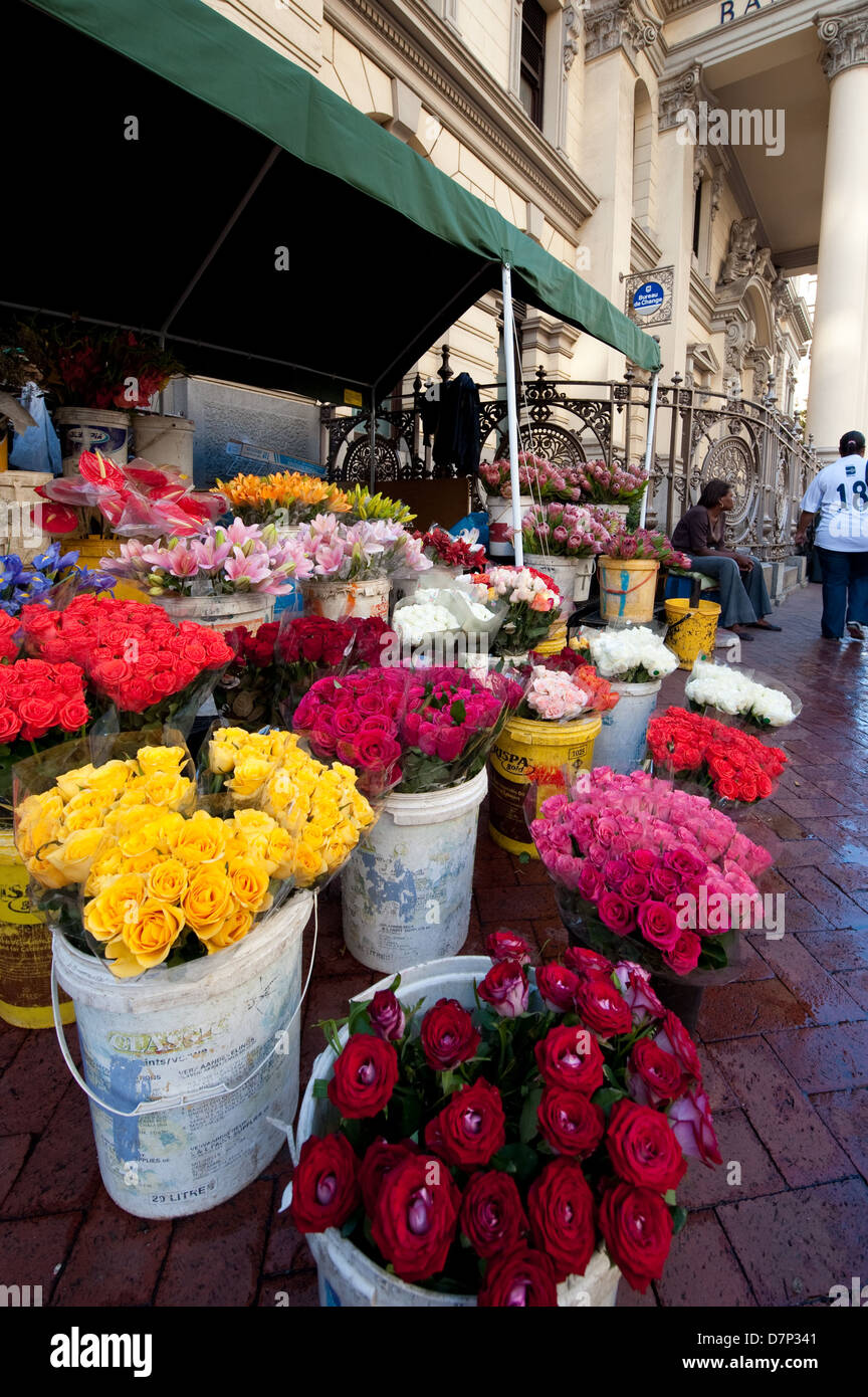 Flower Shops In Cape Town South Africa at Victor Lopez blog