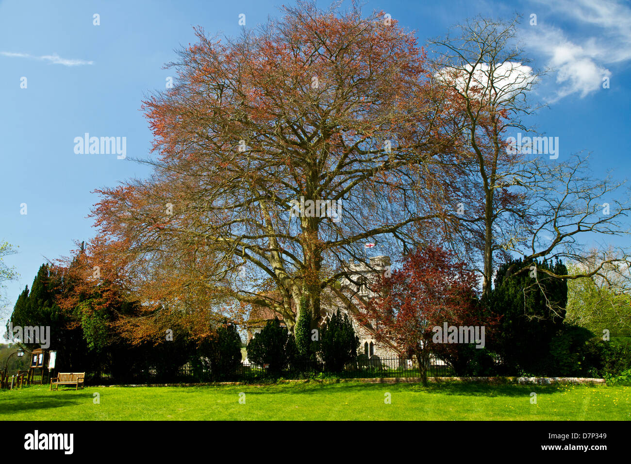 Hampshire parish hall hi-res stock photography and images - Alamy