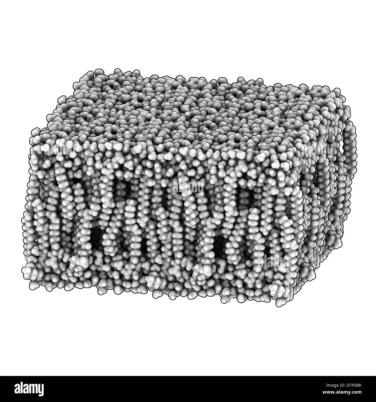 Palmitoyloleoylphosphatidylcholine (POPC) lipid bilayer in water ...