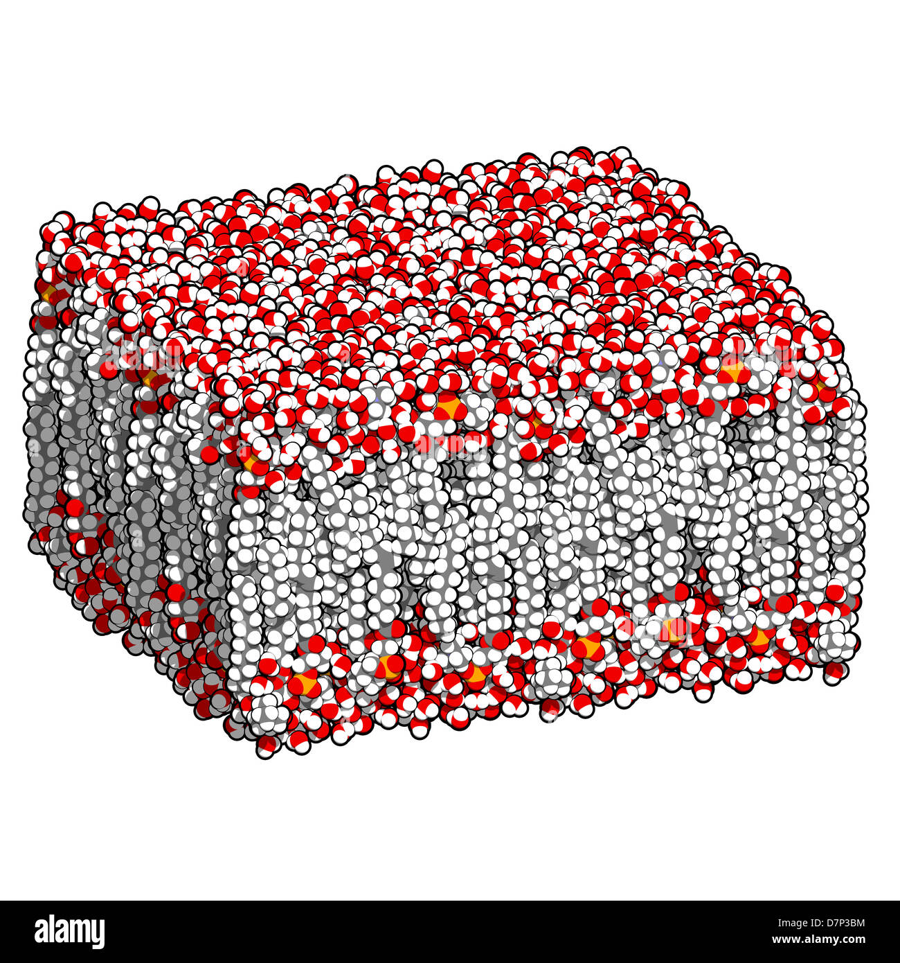 Palmitoyloleoylphosphatidylcholine (POPC) lipid bilayer in water ...