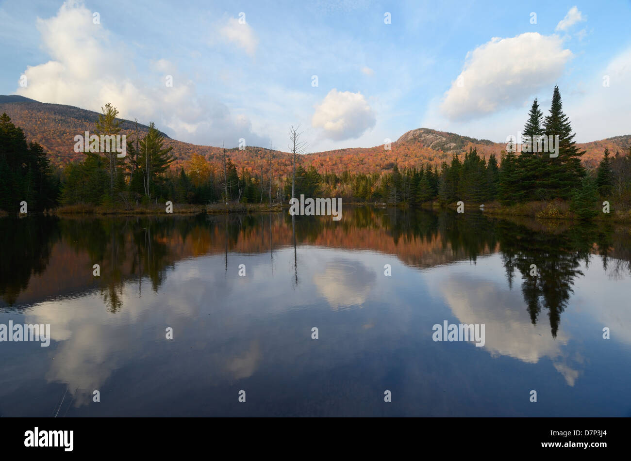 White Mountain National Forest. New Hampshire Stock Photo - Alamy