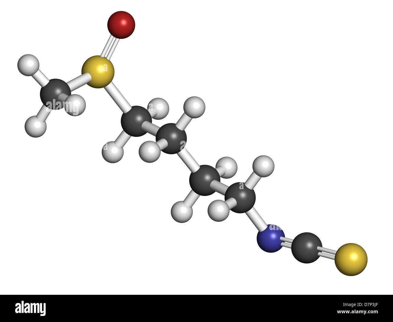 Sulforaphane broccoli and Brussels sprouts molecule, chemical structure ...