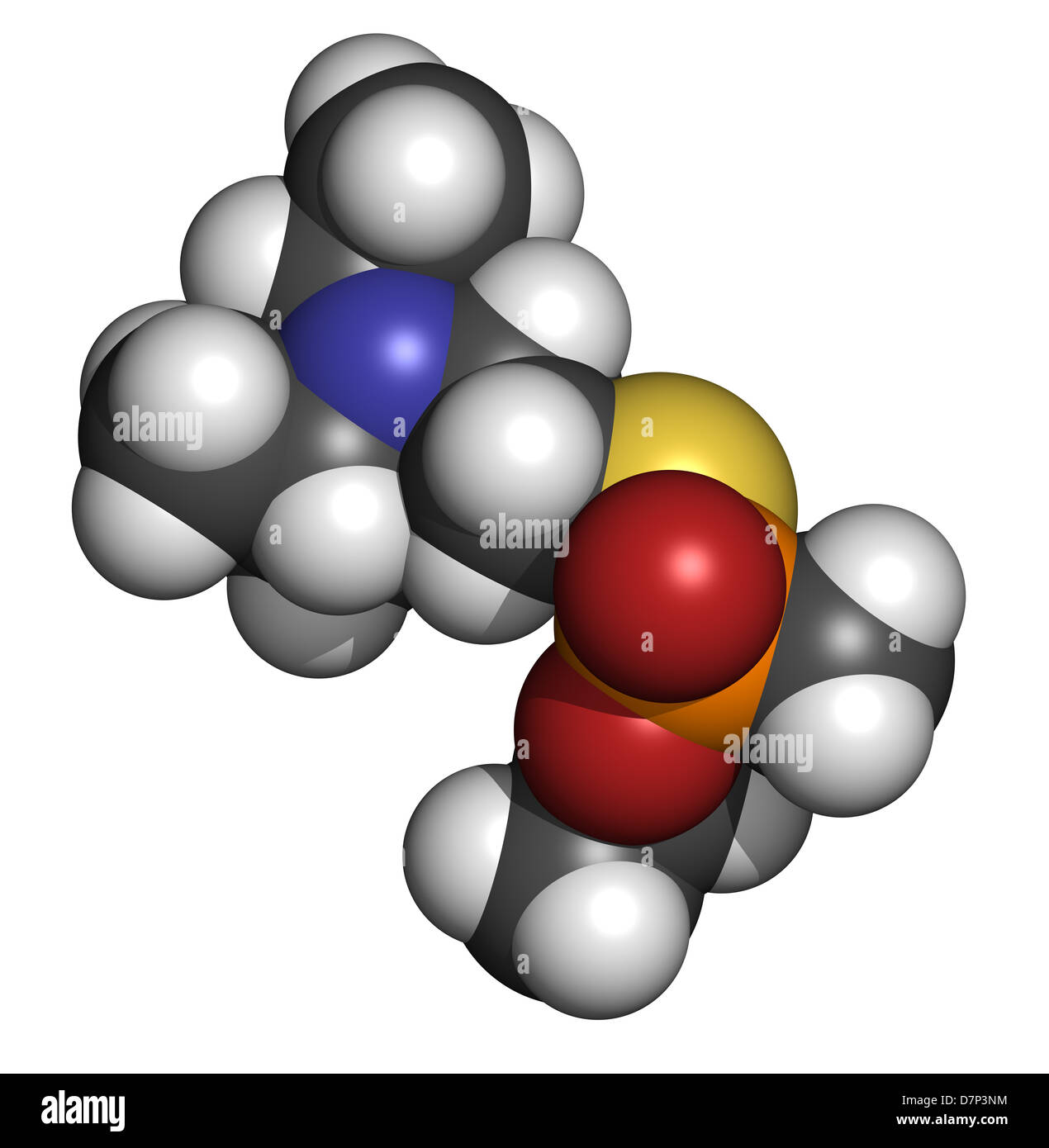 VX nerve agent, molecular model. VX is a chemical weapon, classified as ...