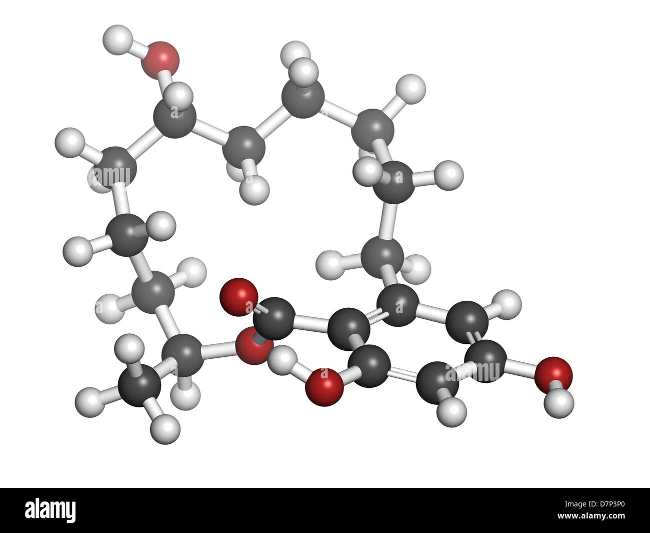 Zeranol beef growth promoter, molecular model. Zeranol has non ...
