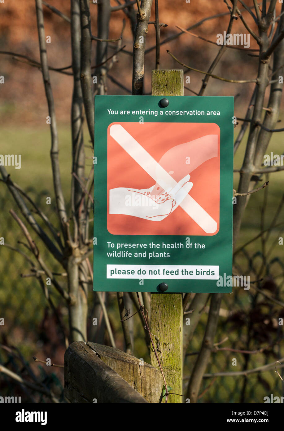 Conservation area wildlife birds hi-res stock photography and images ...