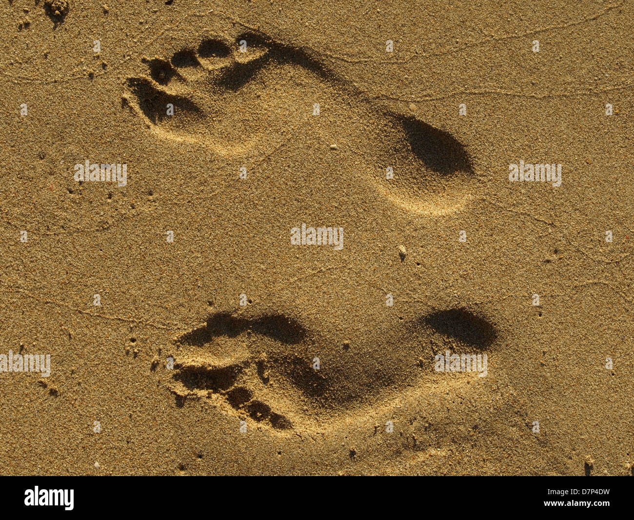 Planted feet hi-res stock photography and images - Alamy