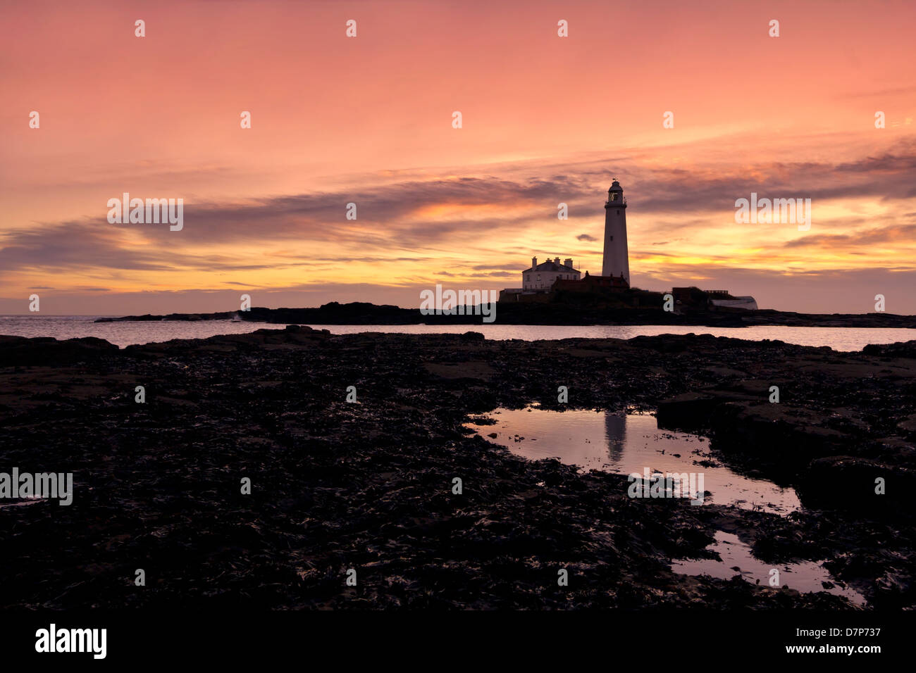 An image of St. Mary`s lighthouse which stands on the coastline near ...